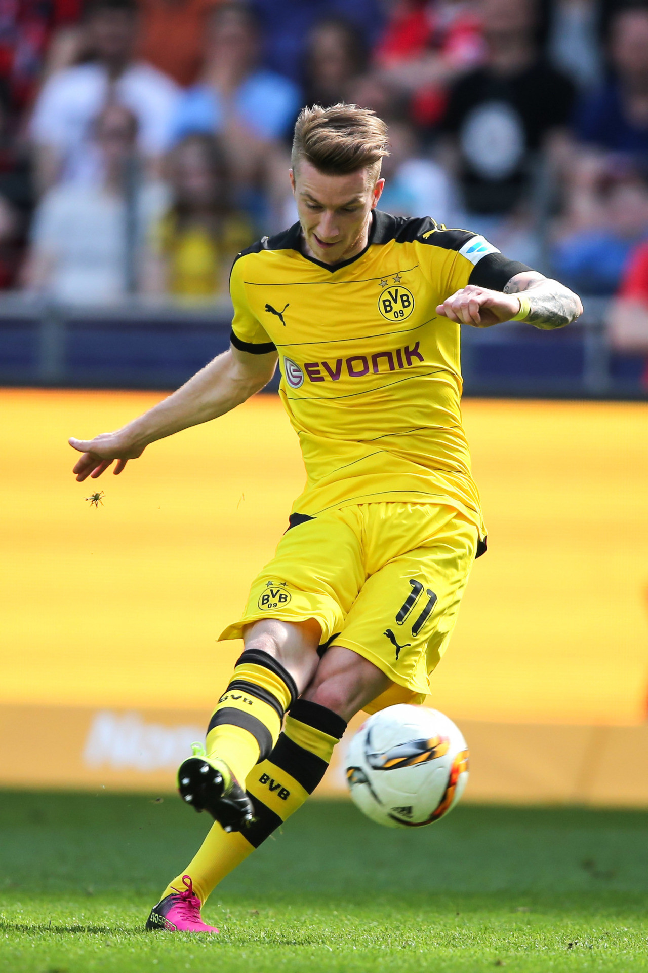 Marco Reus - Fondo De Pantalla Fe Reus- WallpaperUse
