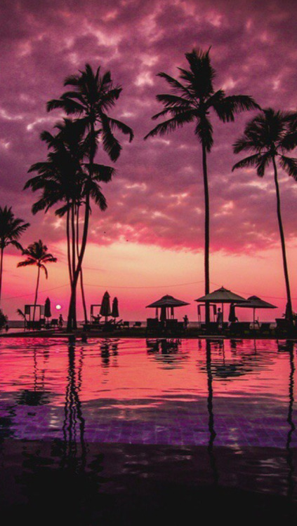 wallpapers for tumblr,sky,nature,pink,sunset,tropics (#75576 ...