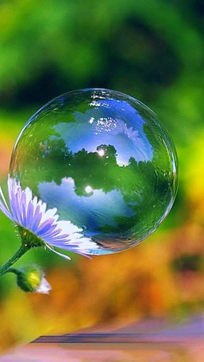 Beautiful Pictures For Profile- WallpaperUse