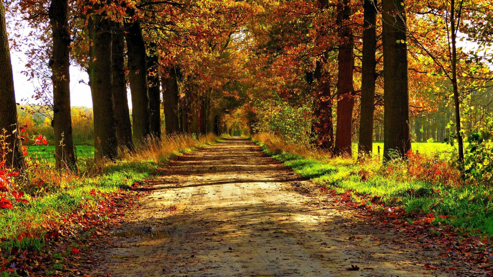 Nature Wallpaper Desktop Background 31 171 Nature Wallpaper ...