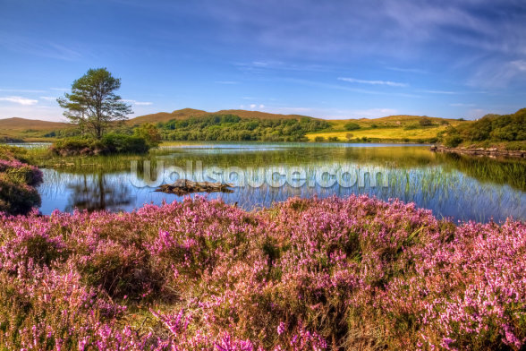 scottish themed wallpaper,natural landscape,nature,natural environment ...