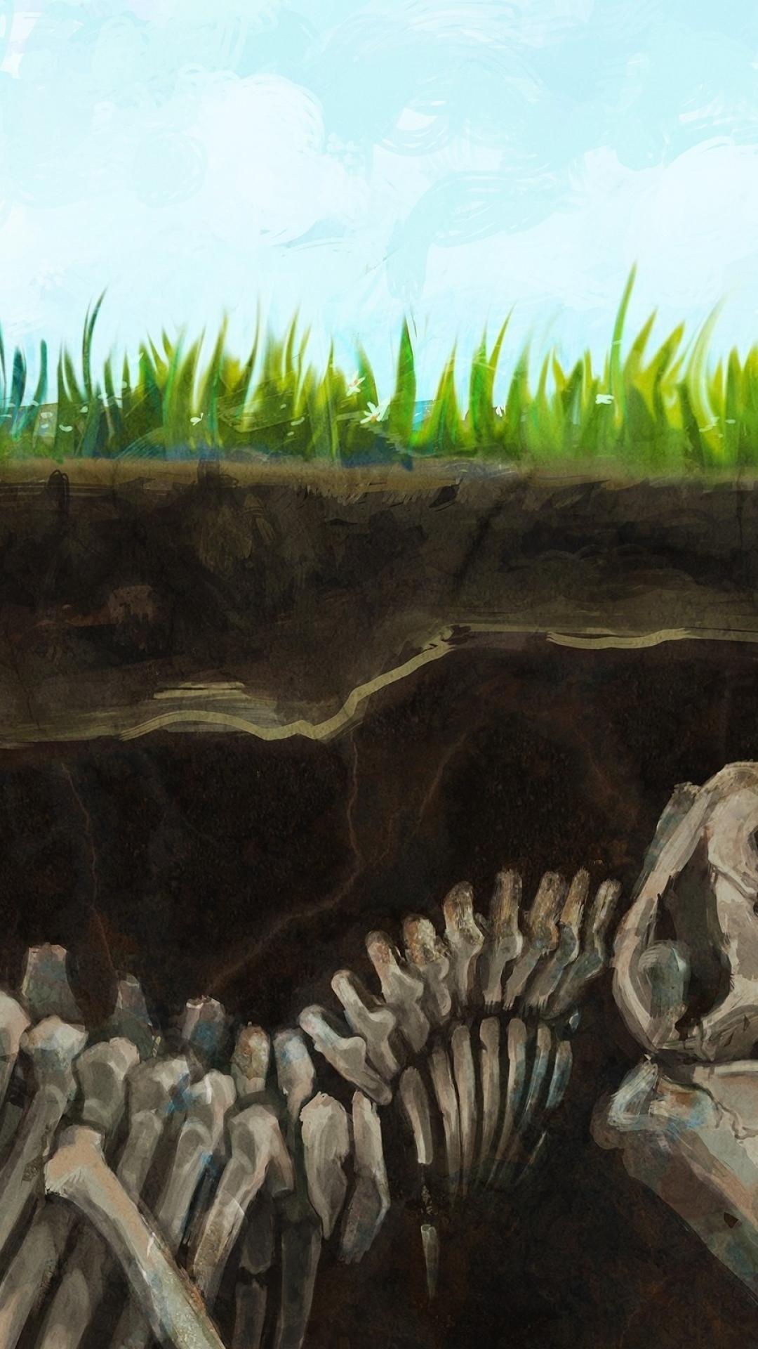 fossil wallpaper,grass,soil,landscape,plant (#703647) - WallpaperUse