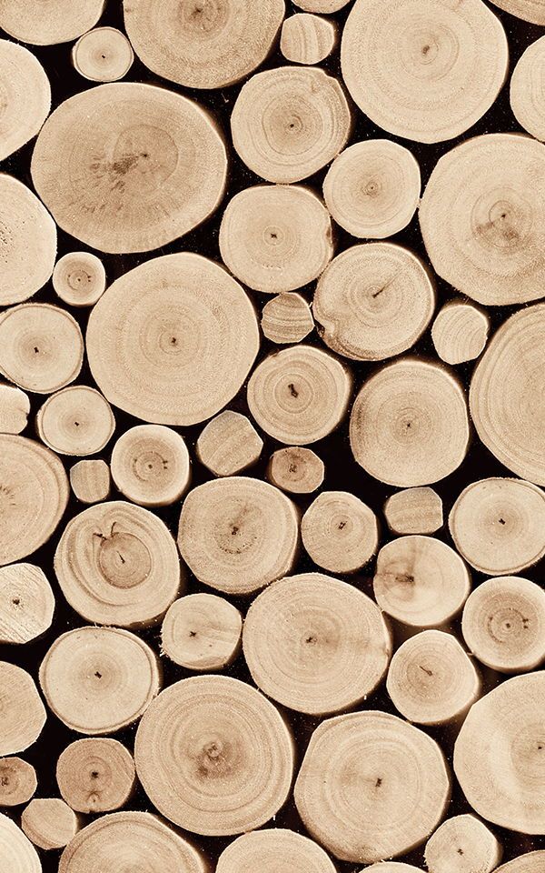 Wood Log Effect Wallpaper at Lauren Fosbery blog