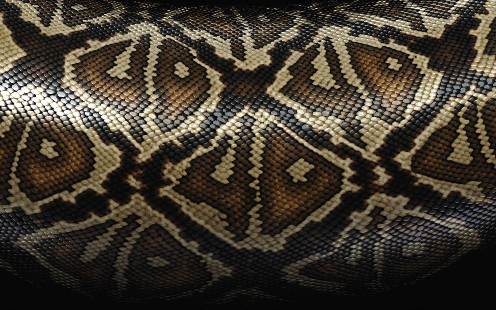 Snake Skin Tattoo Design- WallpaperUse