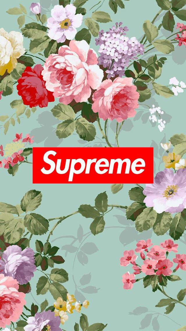 supreme floral wallpaper,flower,rose,pink,plant,rose family (#720735 ...