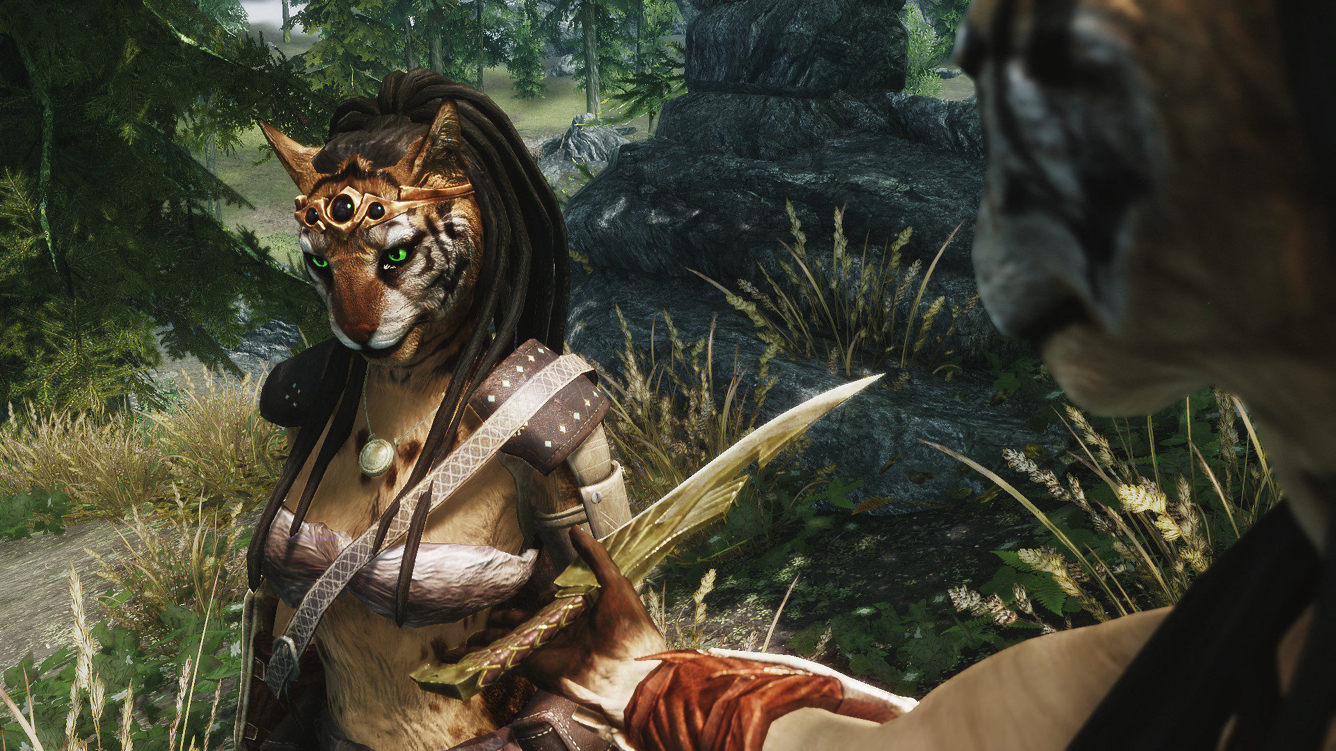 Elder Scrolls Khajiit Female- WallpaperUse