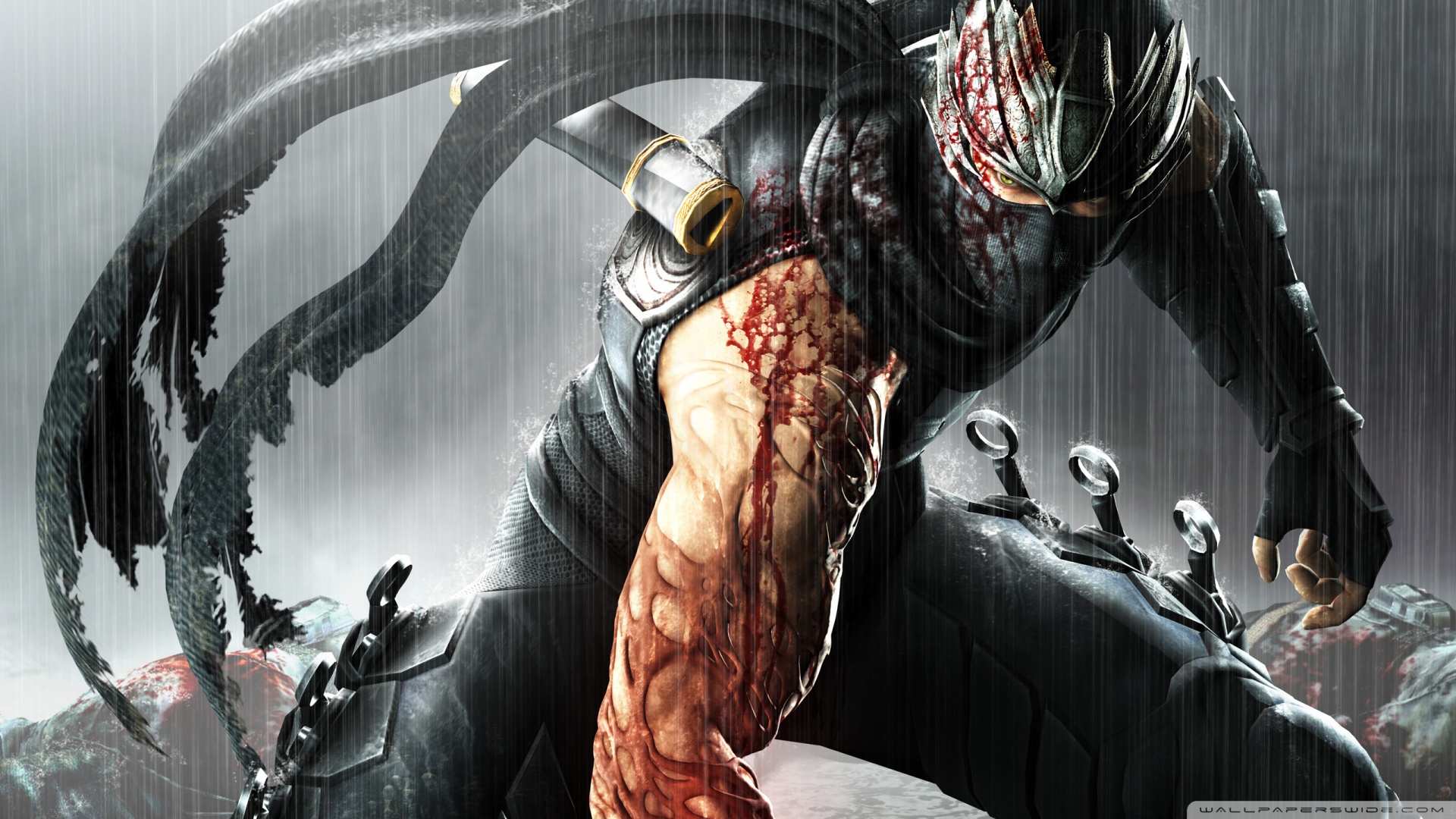 Ninja Gaiden 5 Wallpaper - Ninja 5e- WallpaperUse