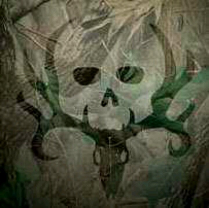 bone collector wallpaper,skull,illustration,art,visual arts,fictional ...