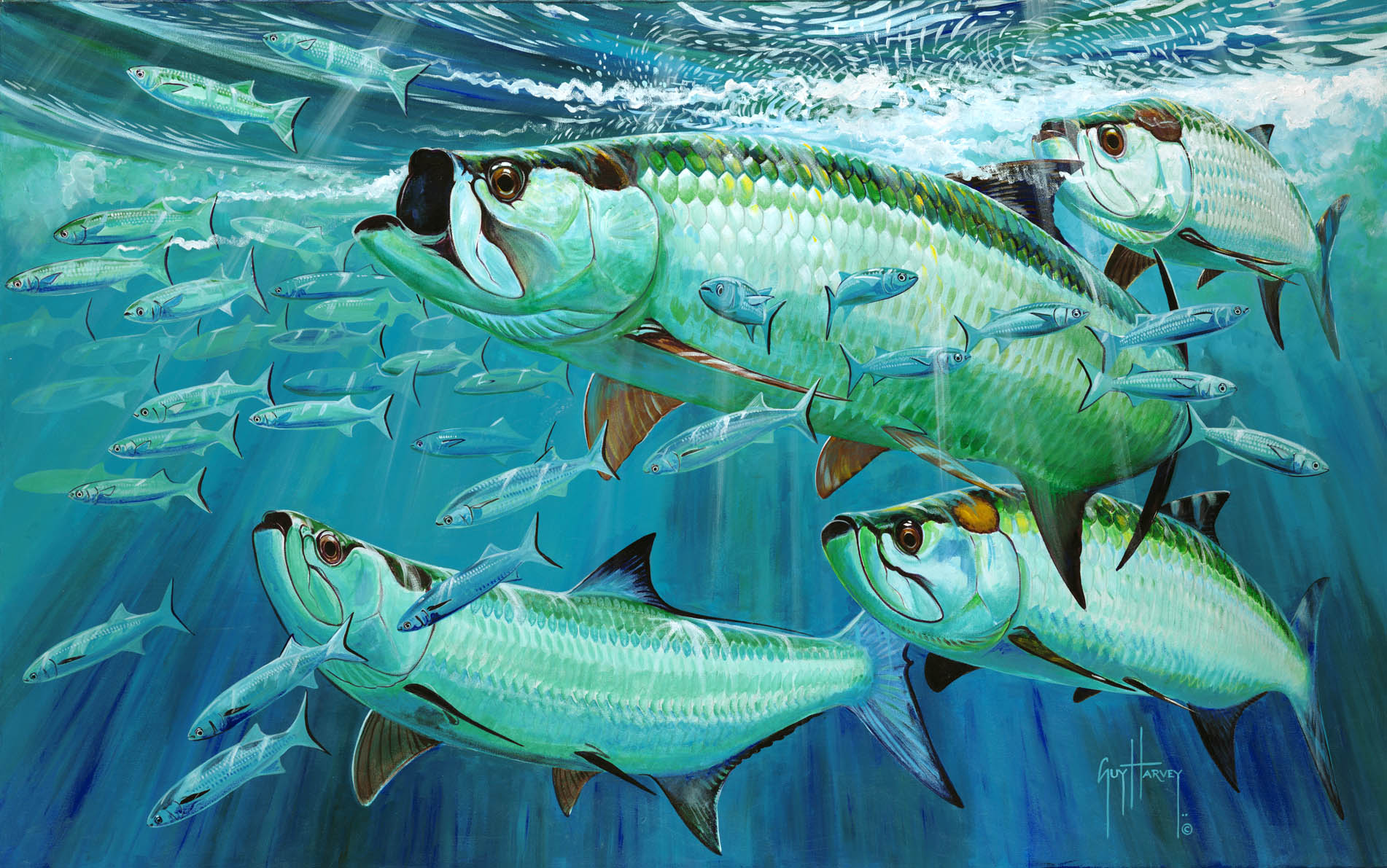 Guy Harvey Fish