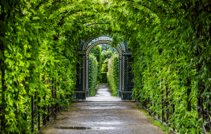 wallpaper surga,green,nature,vegetation,arch,tree (#742246) - WallpaperUse