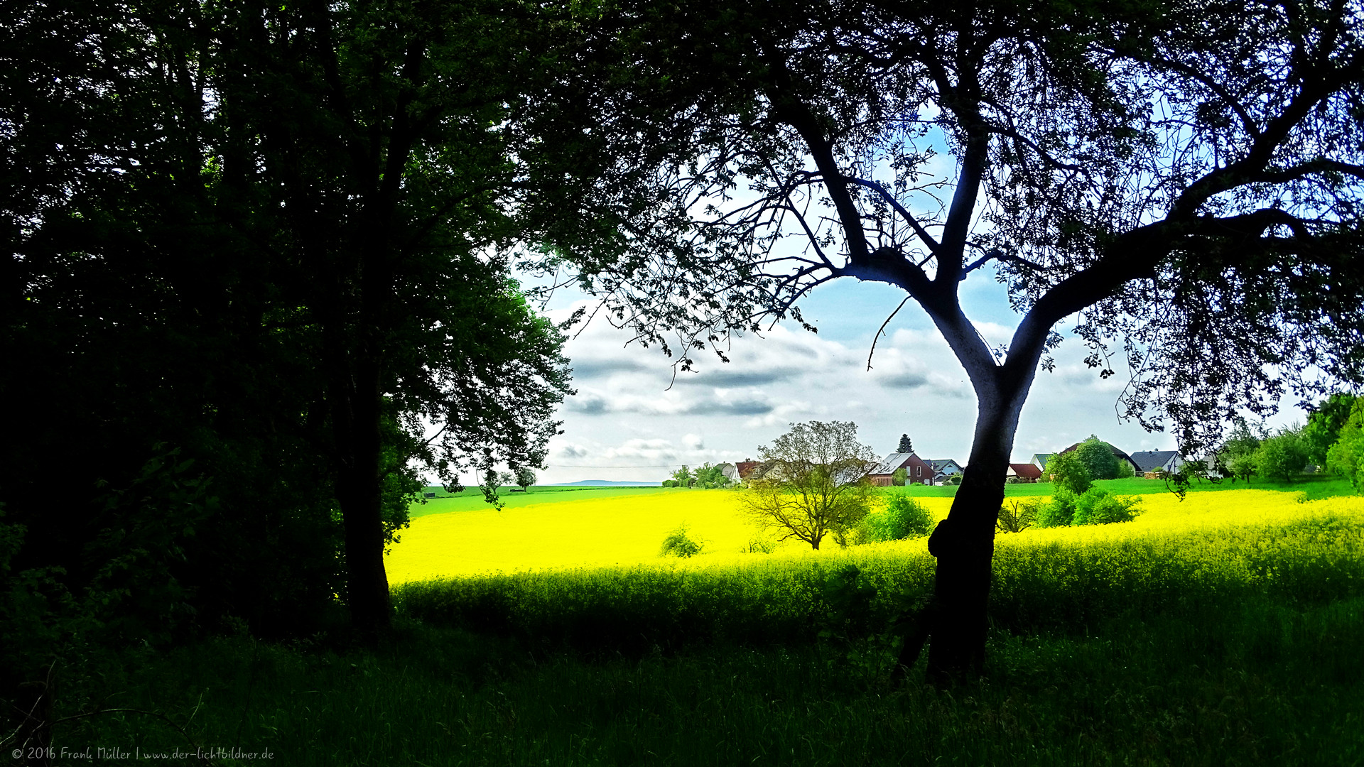 Unduh 730 Wallpaper Pemandangan Surga Foto Hd Terbaik - Field- WallpaperUse