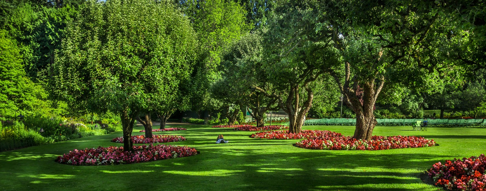 wallpaper taman,natural landscape,nature,garden,lawn,botanical garden ...