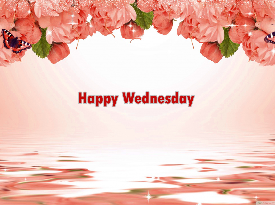 wallpaper wednesday,pink,flower,text,petal,spring (#747989) - WallpaperUse