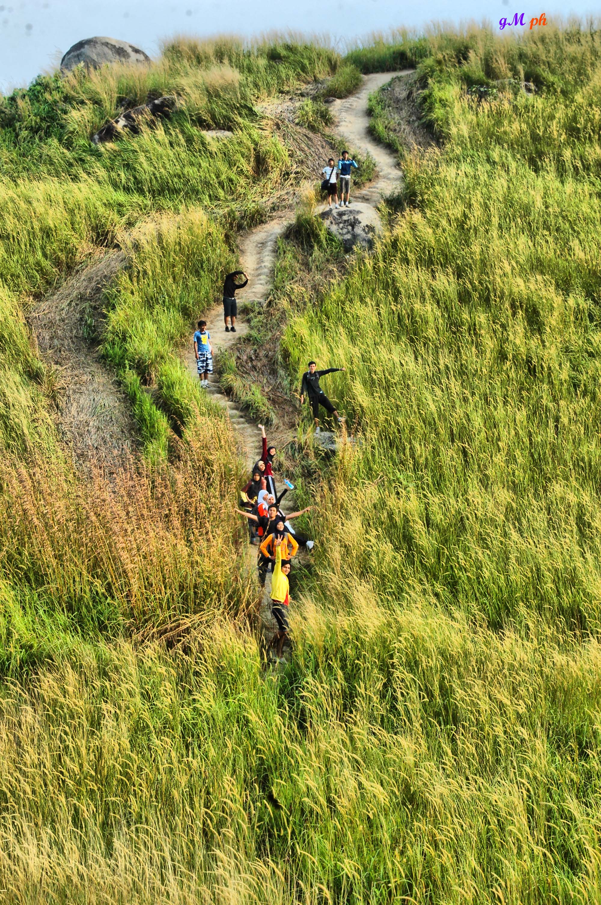 alam pak fondo de pantalla,césped,pradera,paisaje natural,familia de la ...