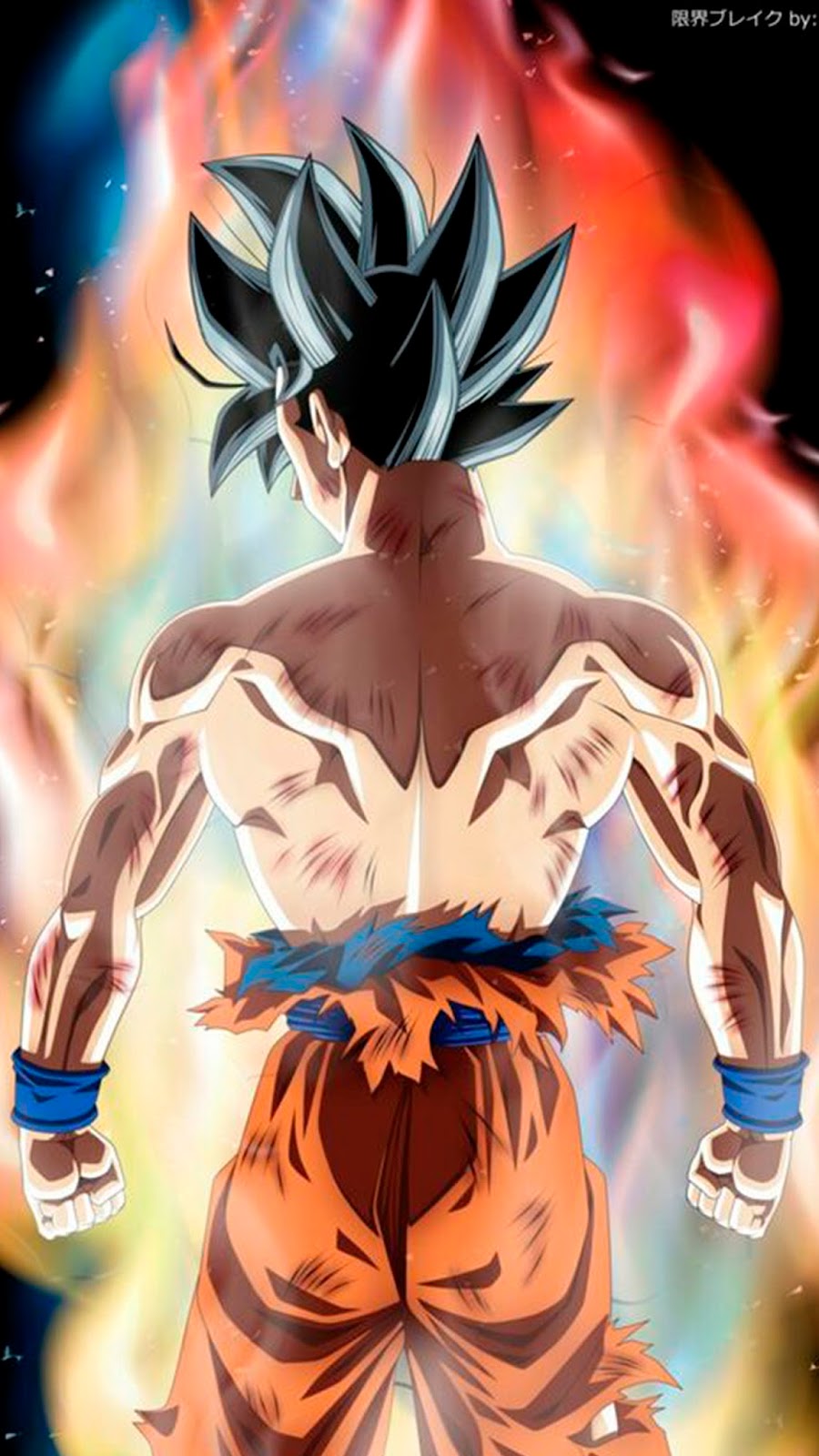 Goku Back View Doing Kamehameha- WallpaperUse