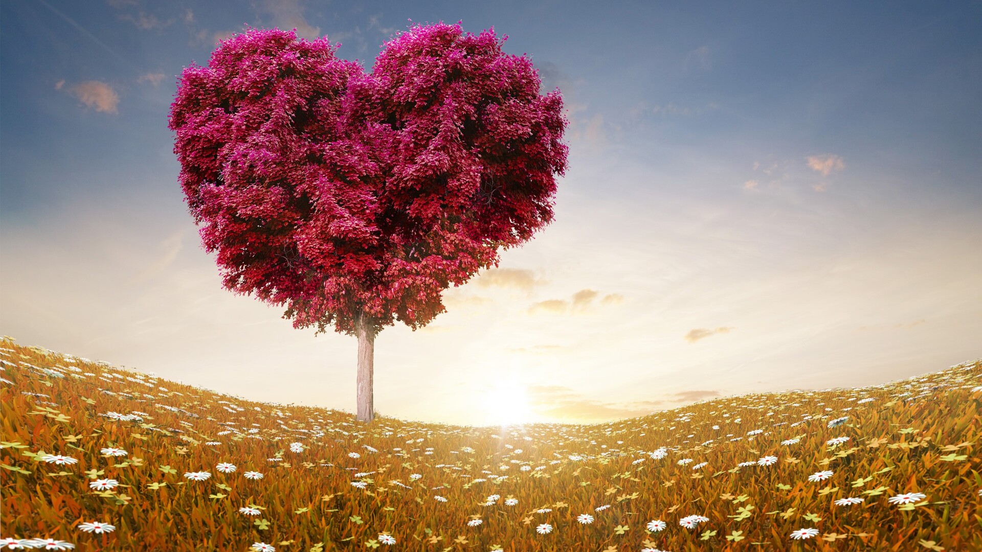 Amazing Love Wallpaper- WallpaperUse