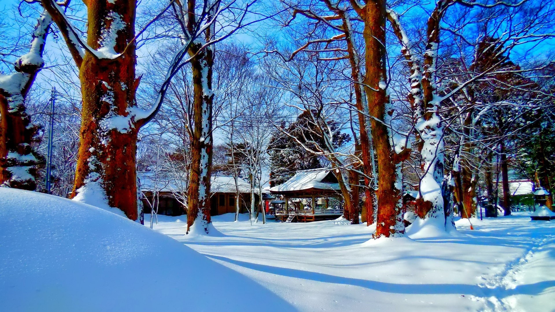 fresh wallpaper for mobile,snow,winter,tree,log cabin,freezing (#763256 ...