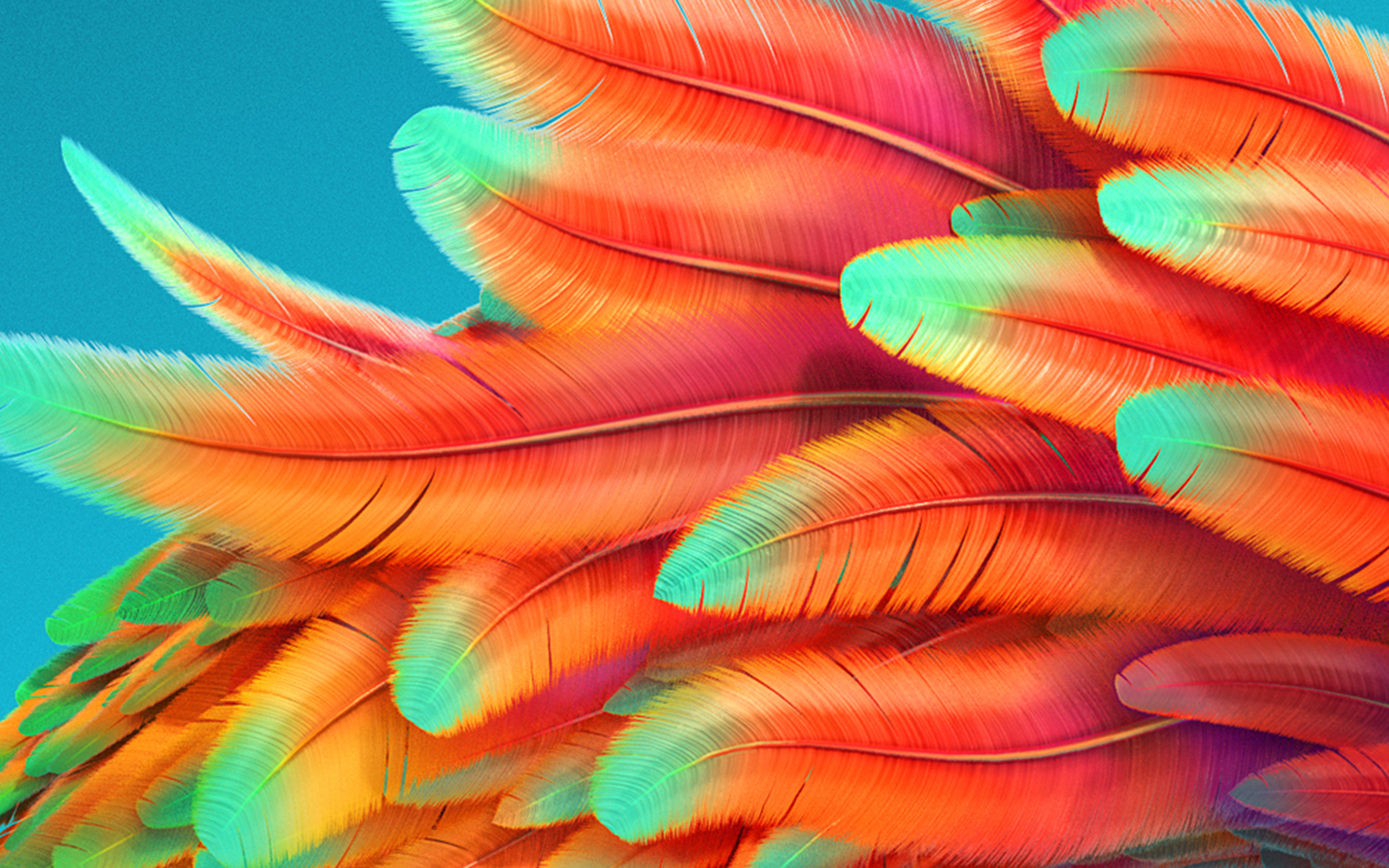 immagine di sfondo,piuma,arancia,colorfulness,materiale naturale,pesca ...