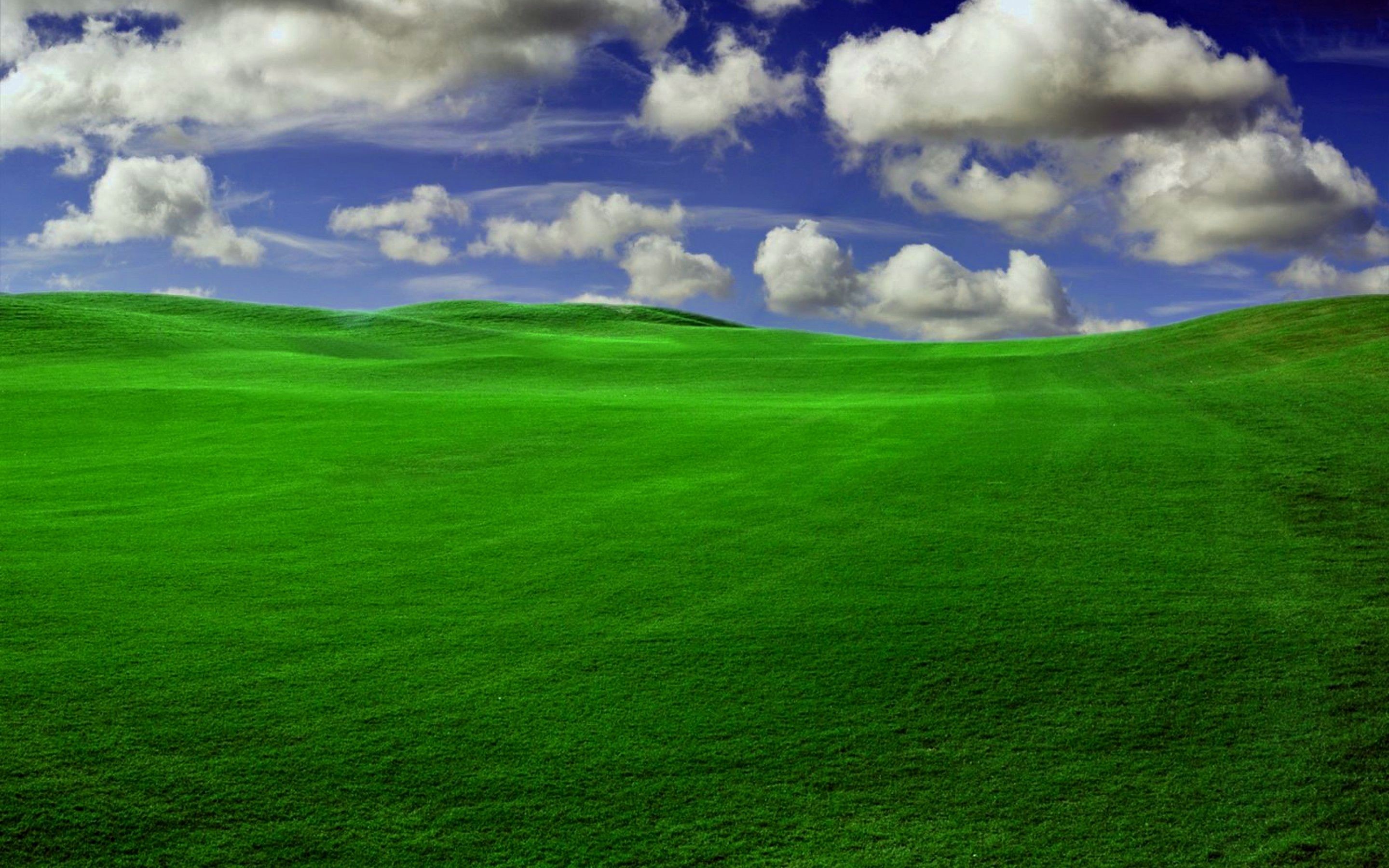 windows original wallpaper,green,grassland,sky,nature,natural landscape ...