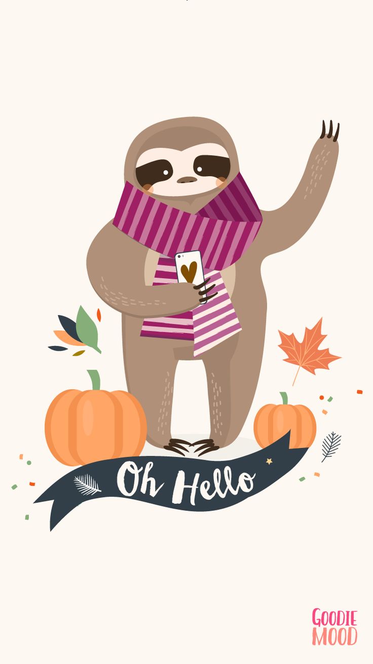 Fall Sloth- WallpaperUse