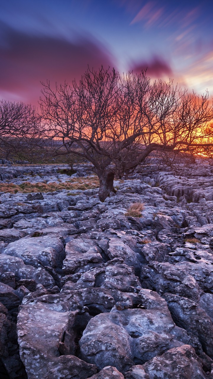 carta da parati,paesaggio naturale,natura,cielo,albero,roccia (#771859 ...