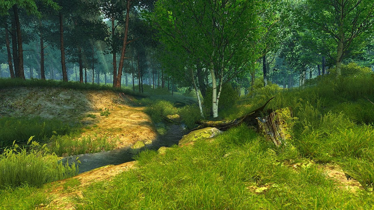 Hd Forest Screensaver- WallpaperUse