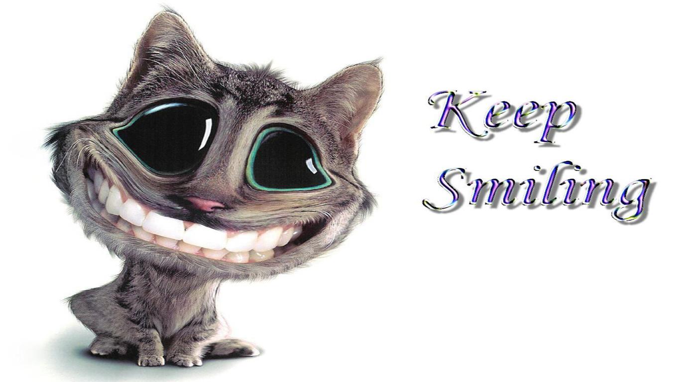 keep smiling wallpaper,cat,facial expression,felidae,small to medium ...