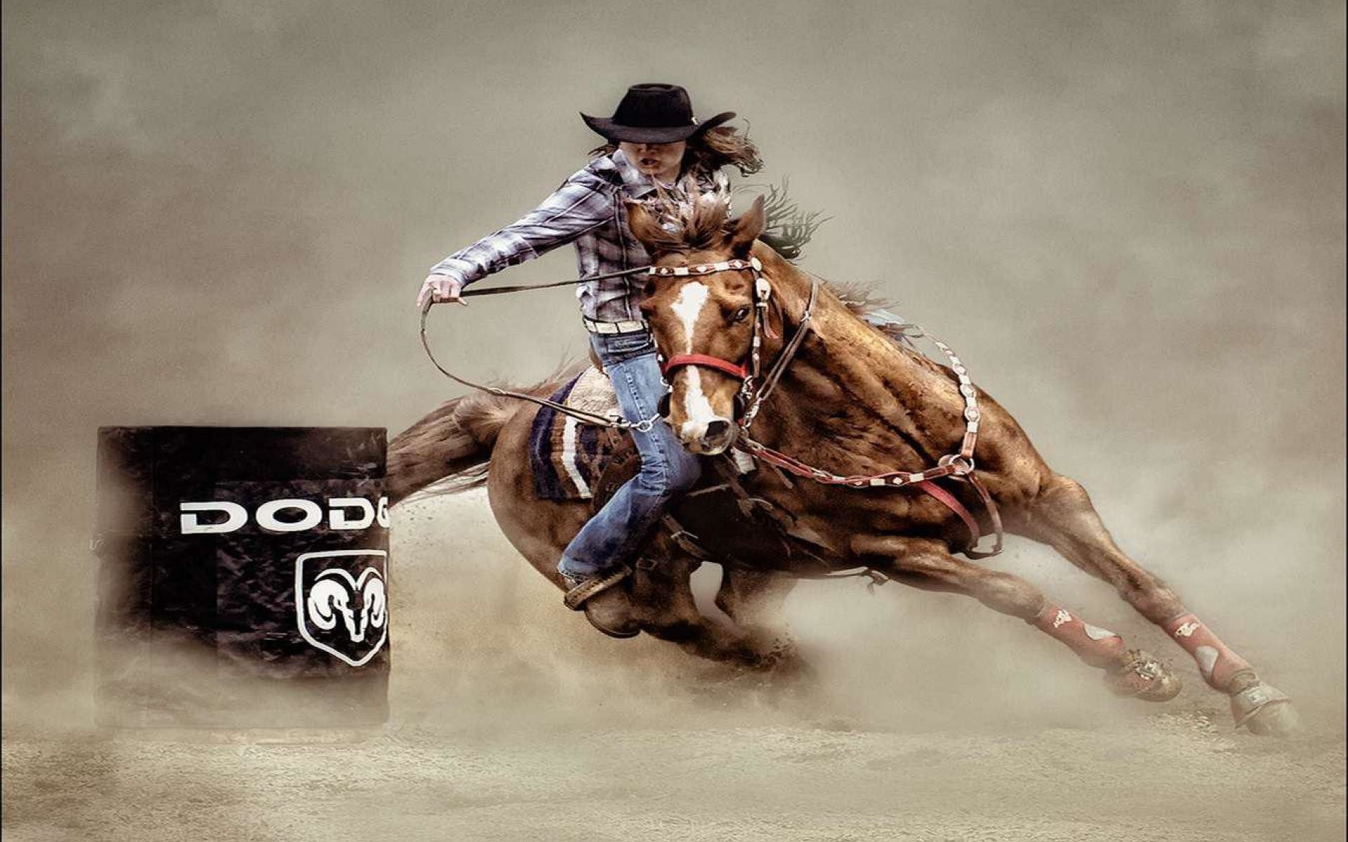 rodeo wallpaper,reining,rein,barrel racing,animal sports,western riding ...