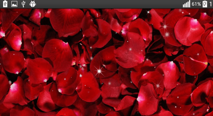 Red Flower Header- WallpaperUse