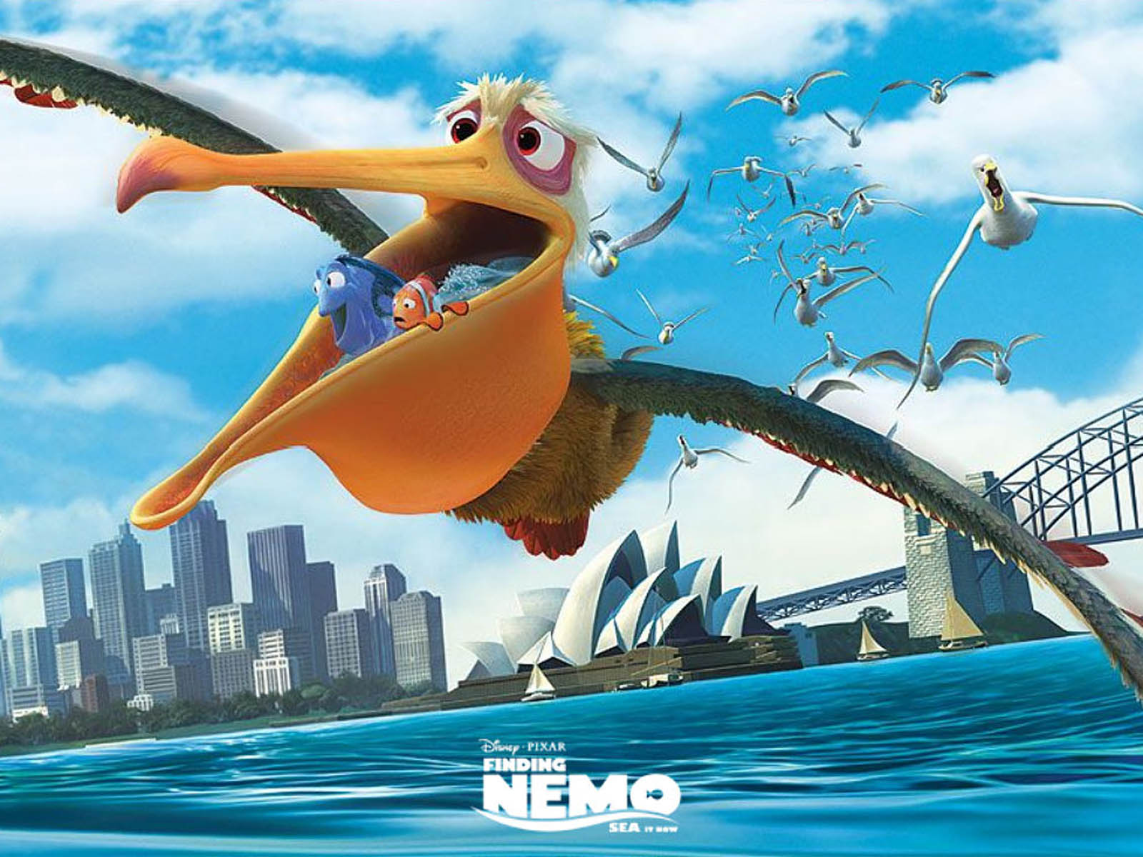wallpaper nemo,animated cartoon,cartoon,animation,pelican,illustration ...