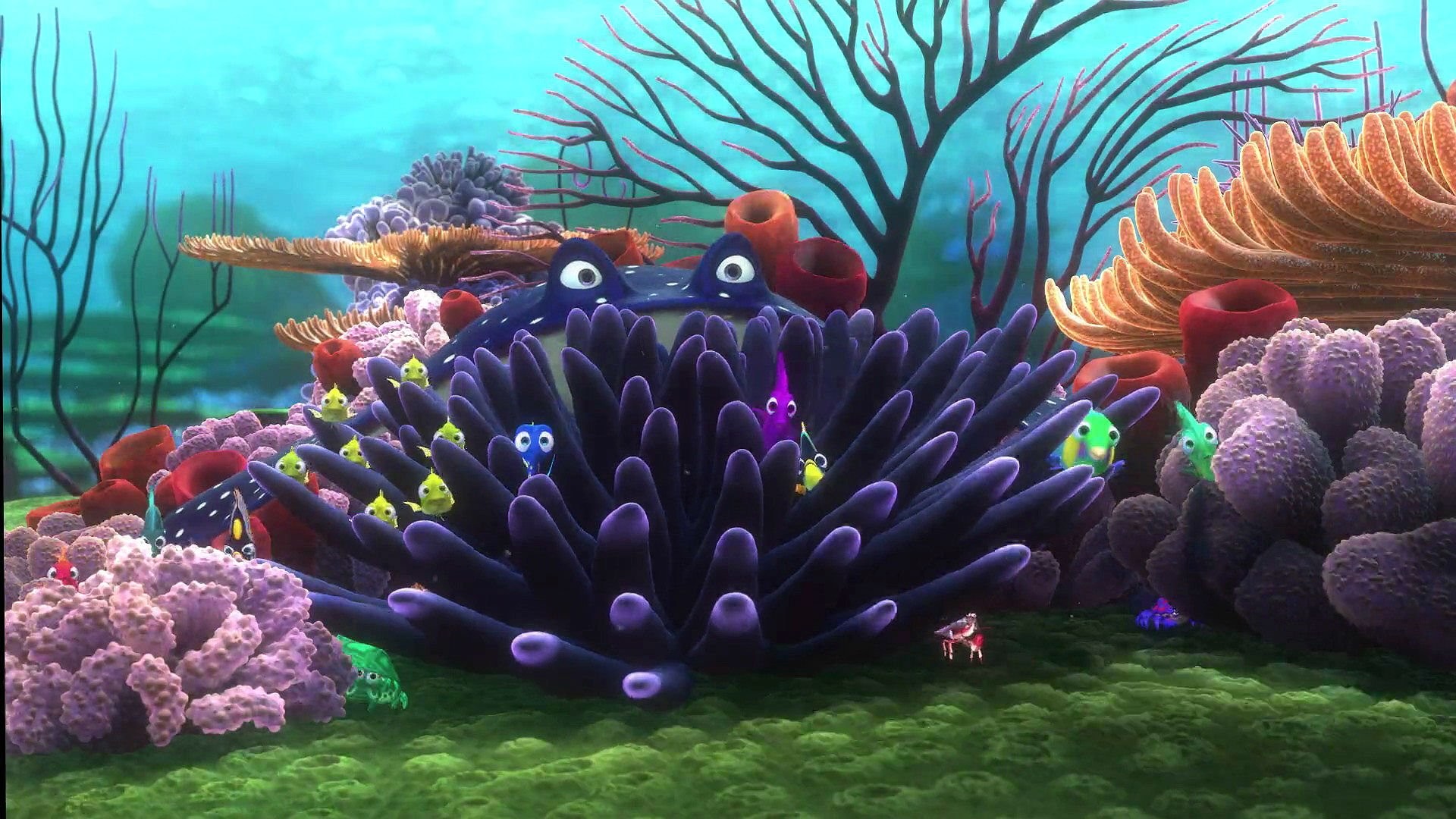 Finding Nemo Animation Underwater Sea Ocean Tropical- WallpaperUse