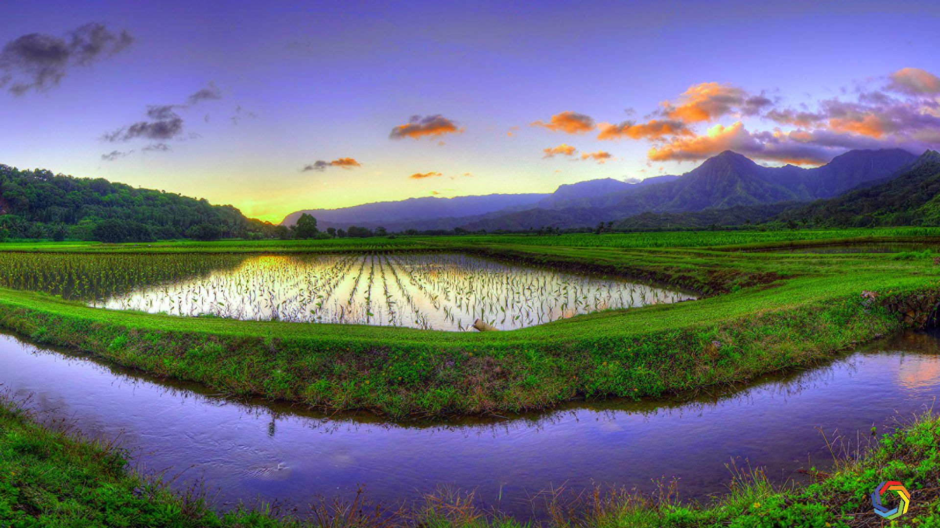 fondo de pantalla hd de alta definición,paisaje natural,naturaleza ...