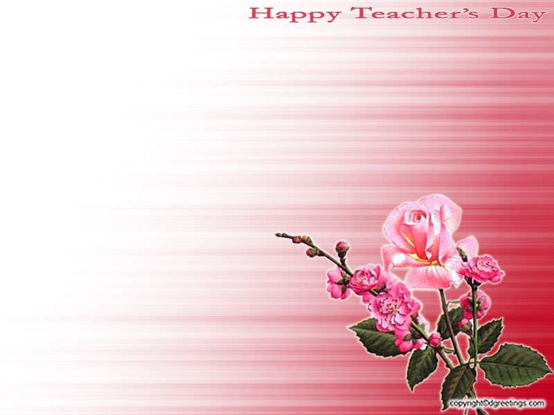 teachers day wallpaper,pink,text,flower,plant,spring (#80044 ...