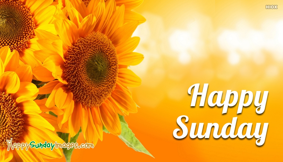 Happy Sunday Wallpaper
