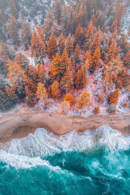 Summer Tumblr Iphone Backgrounds