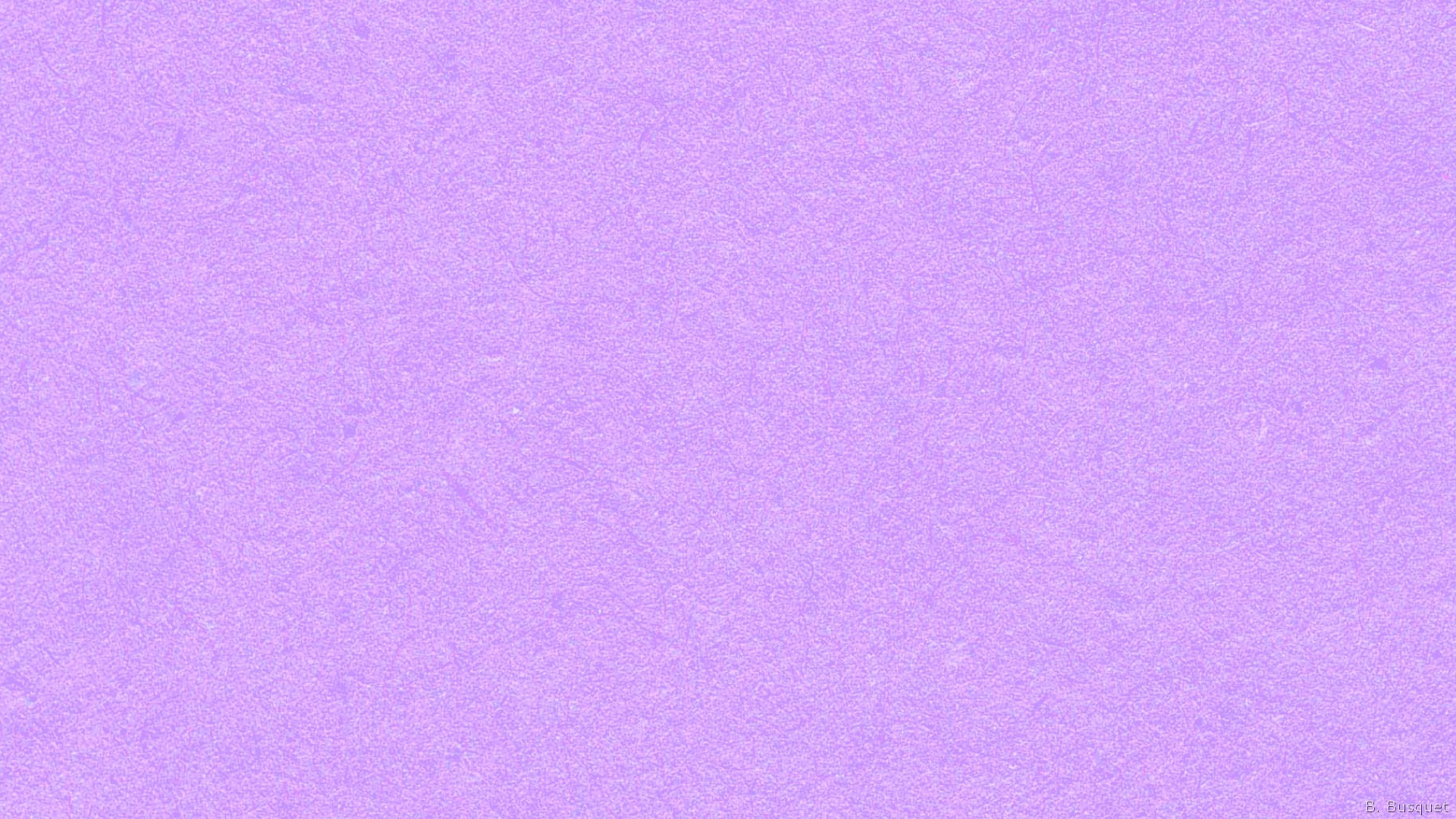 fond d'écran couleur simple,violet,violet,lilas,lavande,rose (#810891 ...