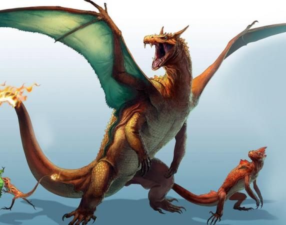 Real Life Pokemon Charmander- WallpaperUse