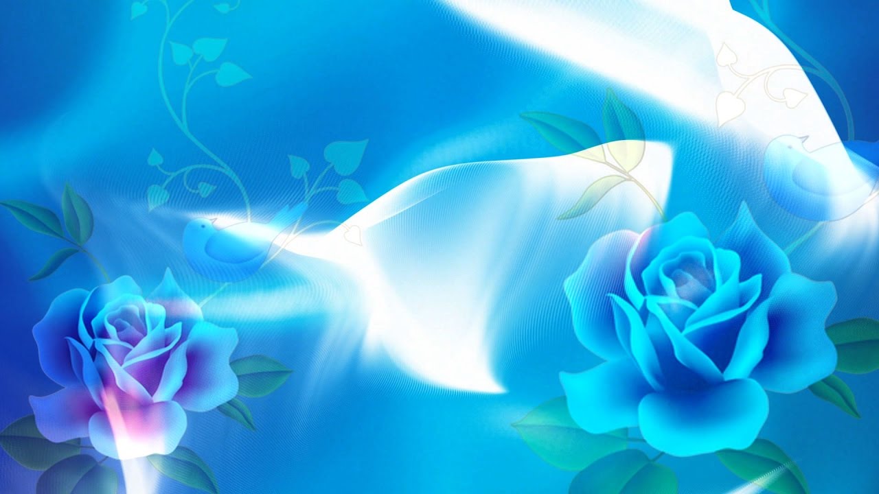 bg wallpaper,blue,petal,blue rose,rose,aqua (#814886) - WallpaperUse