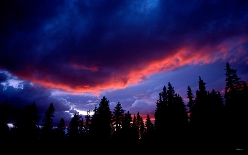 Hd Sunset In The Forest Wallpaper - Mount Evans Colorado- WallpaperUse