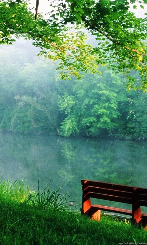 nacher wallpaper,natural landscape,nature,green,bench,nature reserve ...