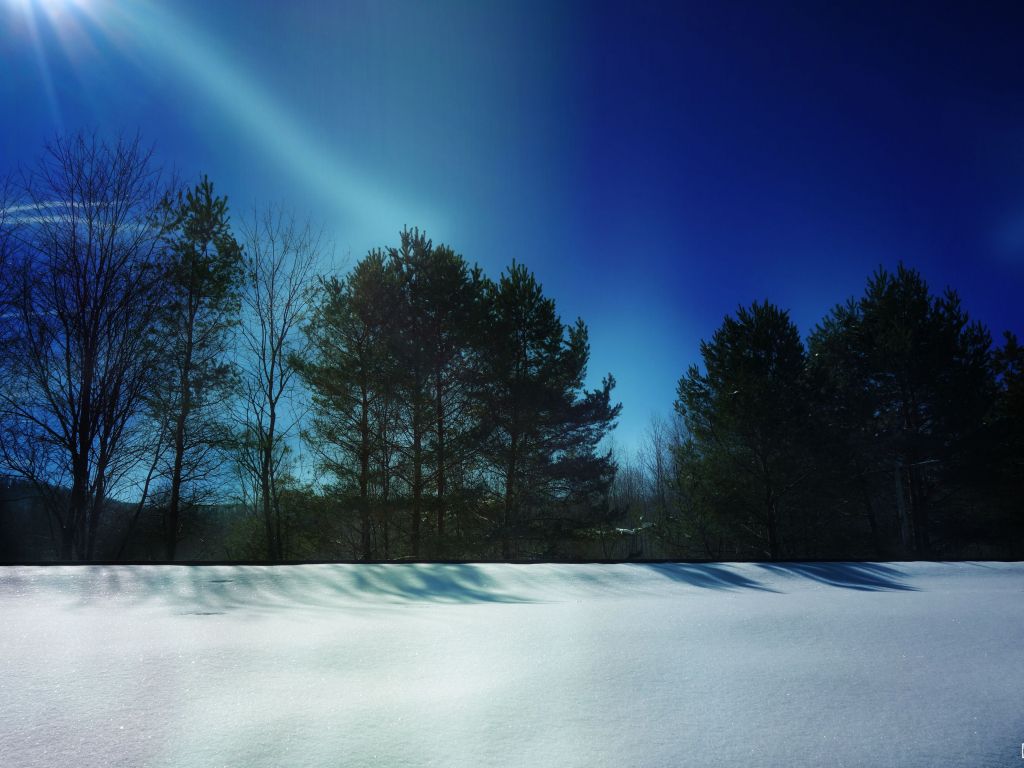 Hope For Spring Wallpaper - Ultra Hd Wallpaper 4k Hope- WallpaperUse