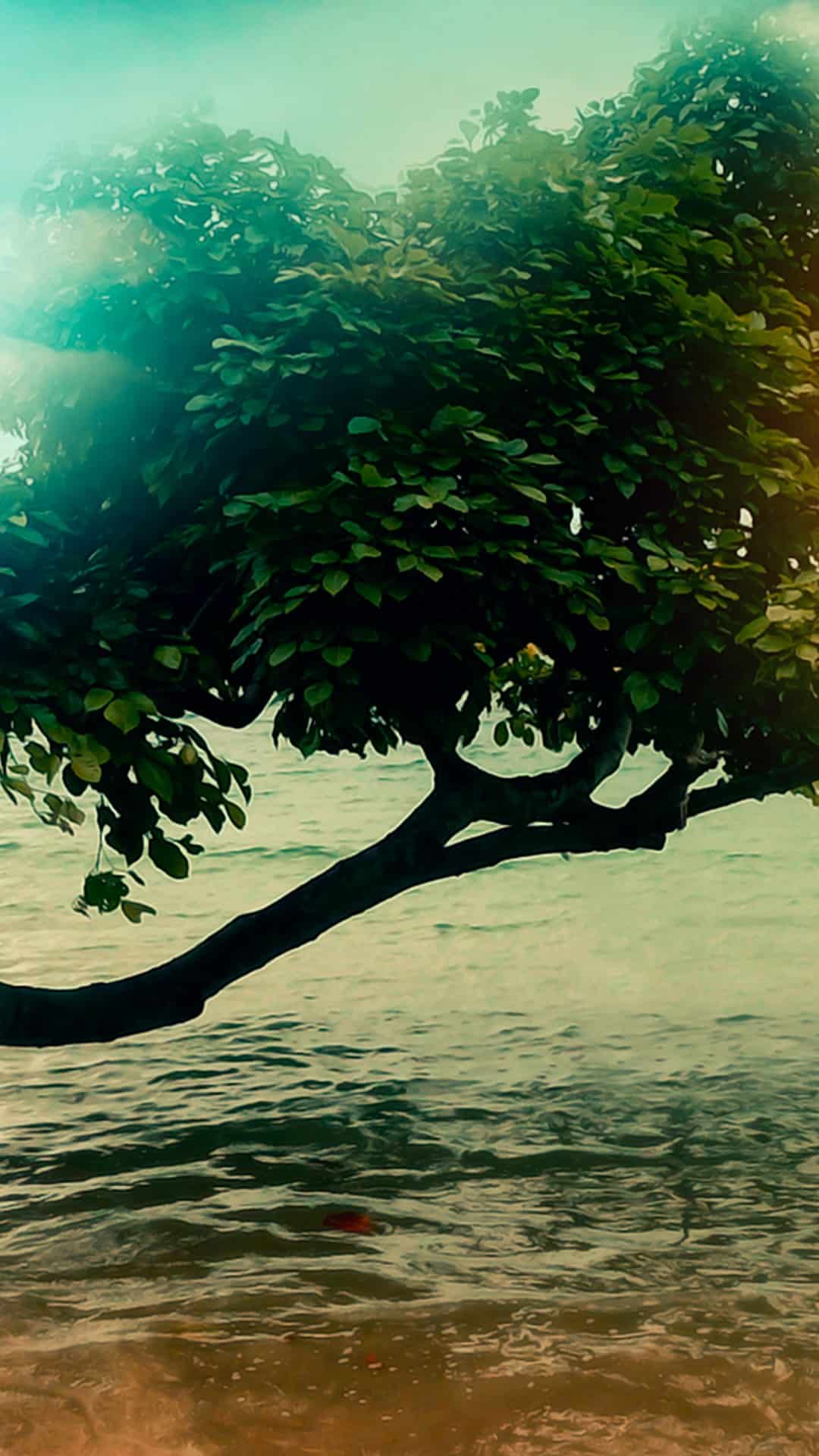 1920 hd wallpaper,natural landscape,nature,tree,water,sky (#817043 ...