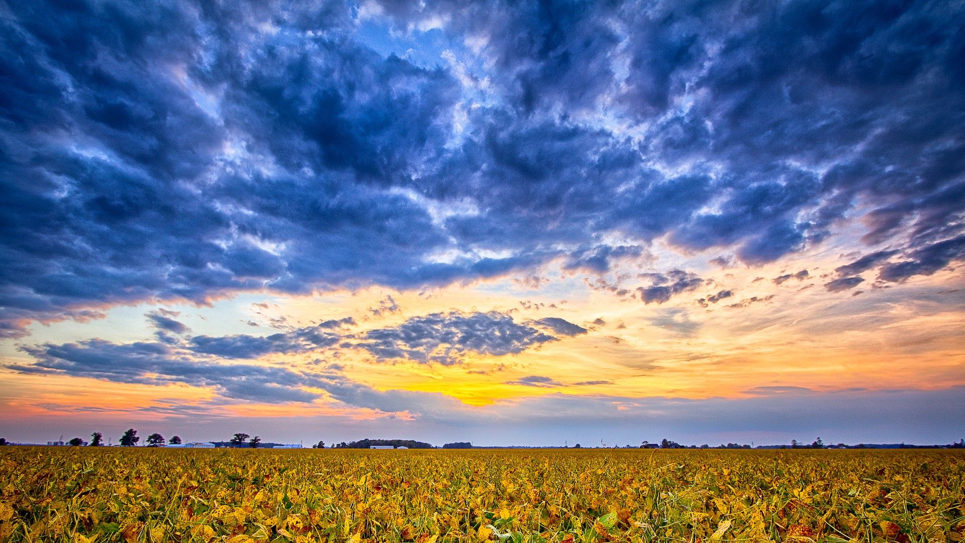 indiana tapete,himmel,wolke,natur,natürliche landschaft,feld (#832821 ...