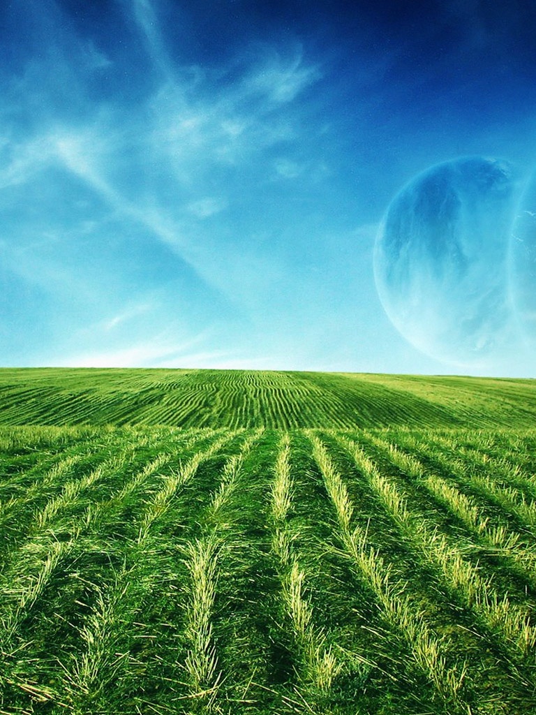 Animated Images Of Field- WallpaperUse