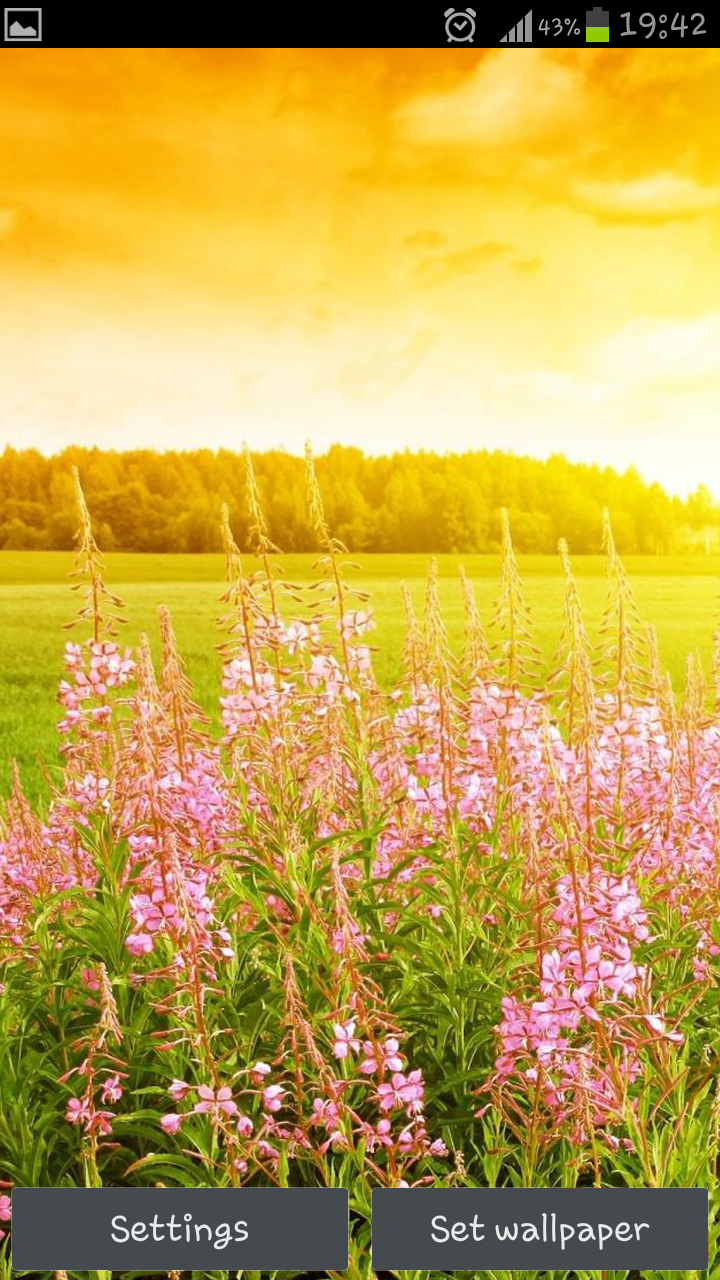 portrait mode wallpaper,natural landscape,meadow,nature,prairie,natural ...