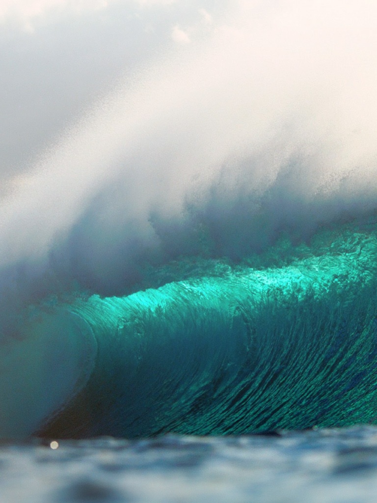 Surfing Hawaii Portrait- WallpaperUse