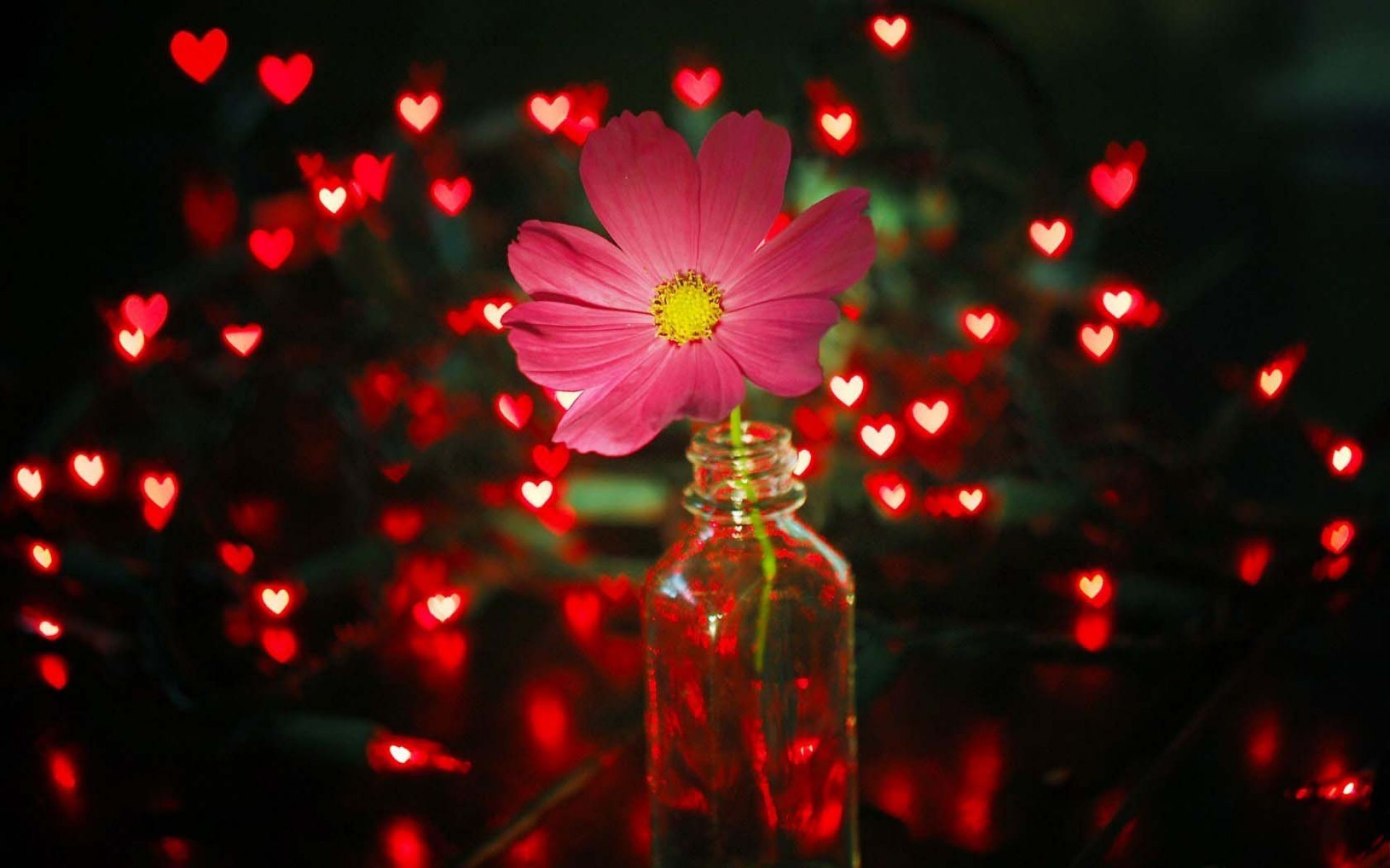 wallpaper love wallpaper,red,light,lighting,flower,sky (#837803 ...