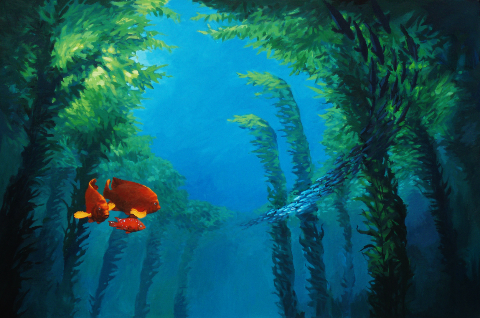 carta da parati alghe,subacqueo,biologia marina,macrocystis pyrifera ...