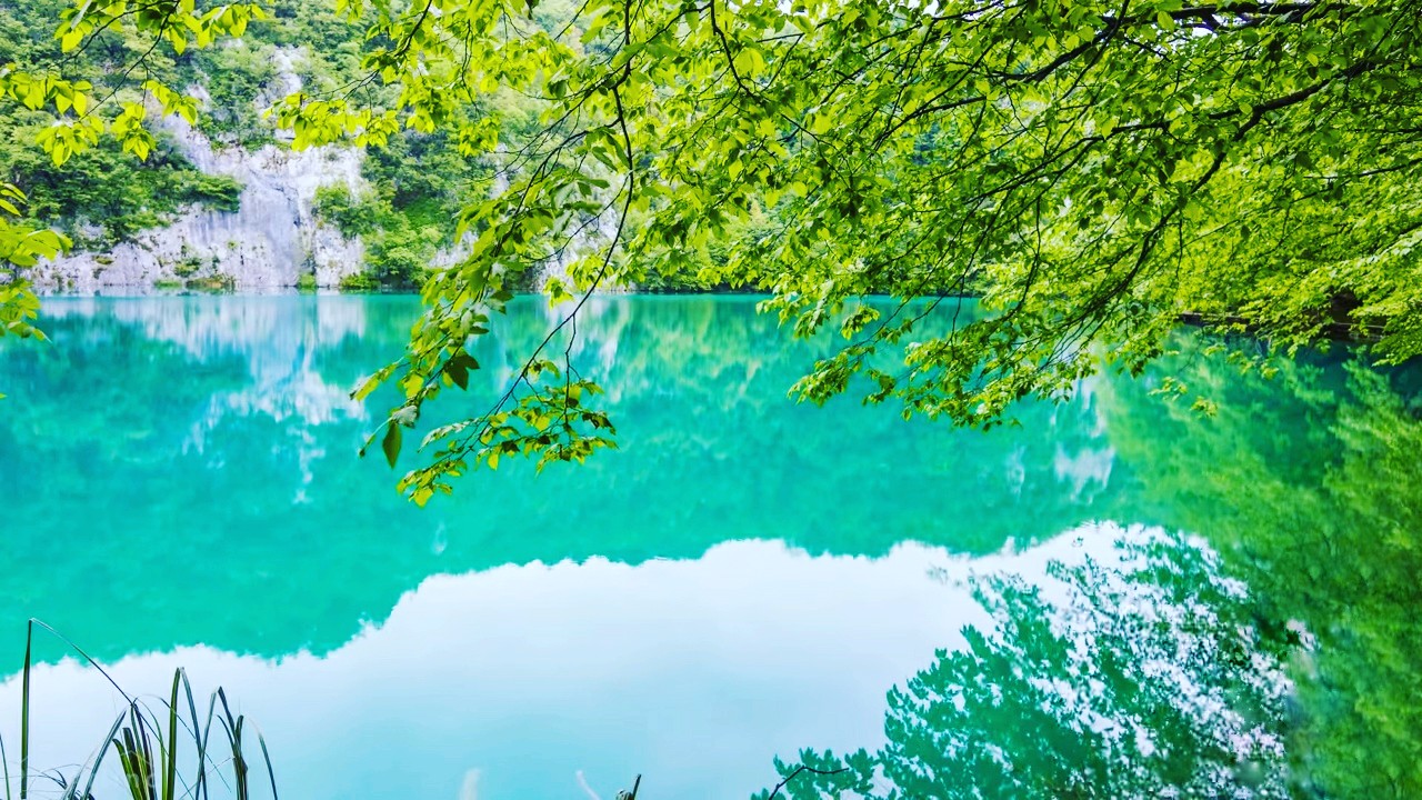 1280x720 full hd wallpapers,natural landscape,nature,green,water ...