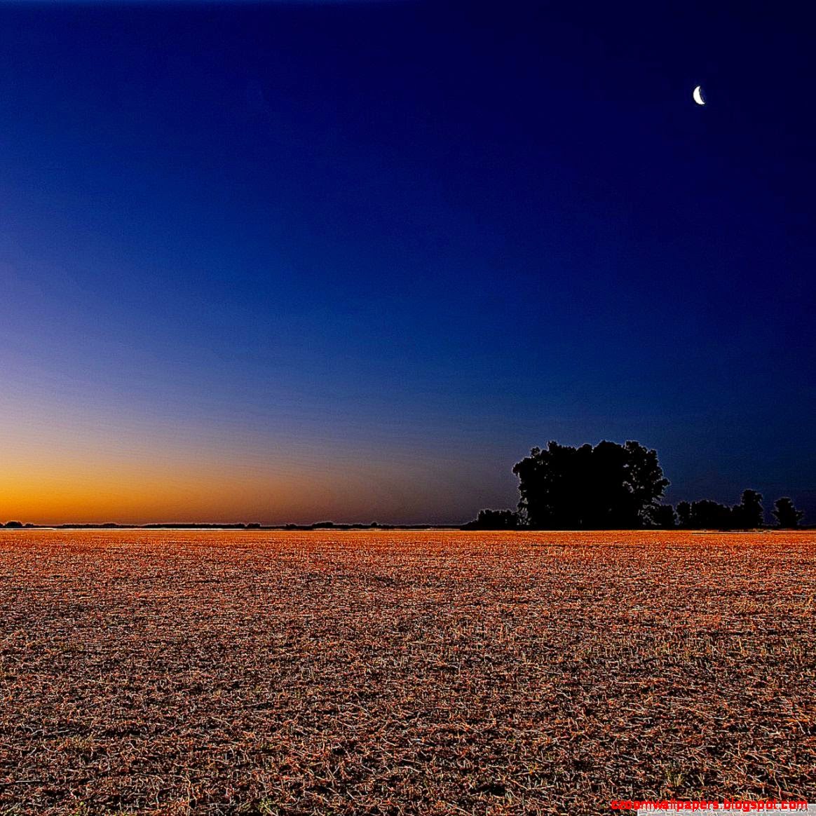 horizontal wallpaper hd,sky,horizon,nature,field,dusk (#841641 ...